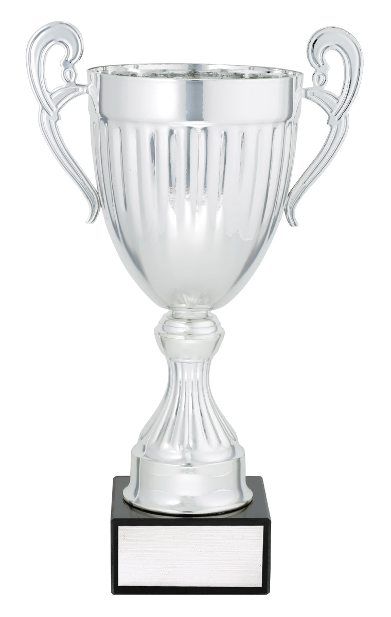Endeavour - Silver – Recognition ID