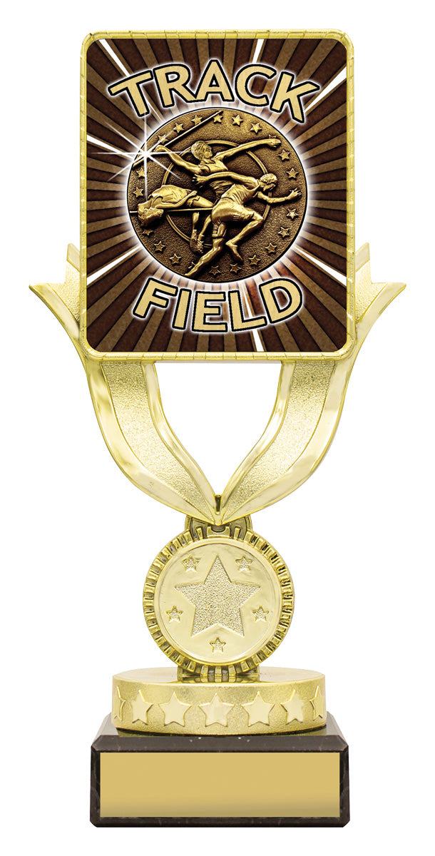 Lynx Sentry - Track & Field – Recognition ID